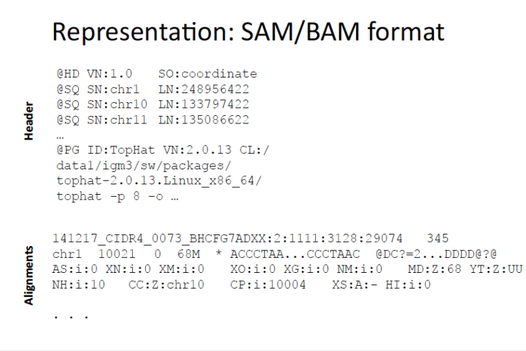 SAM, BAM and CRAM – 我們的基因體時代 Our "Gene"ration