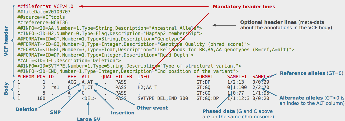 VCF(Variant Call Format) 基因突變資料儲存格式 – 我們的基因體時代 Our "Gene"ration