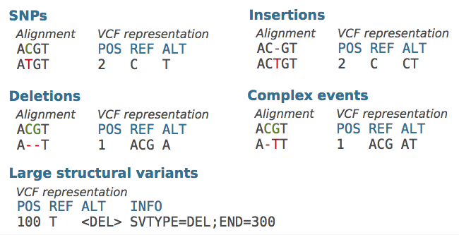 VCF(Variant Call Format) 基因突變資料儲存格式 – 我們的基因體時代 Our "Gene"ration